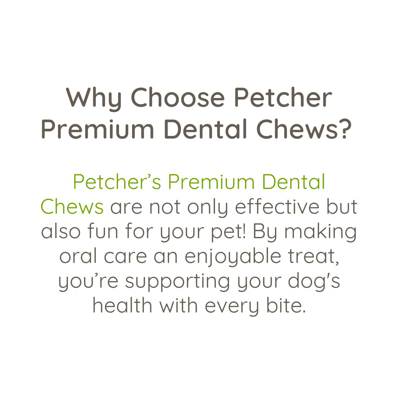 Petcher Assorted Flavor Dental Sticks in Jar Dental Care Treats and ...
