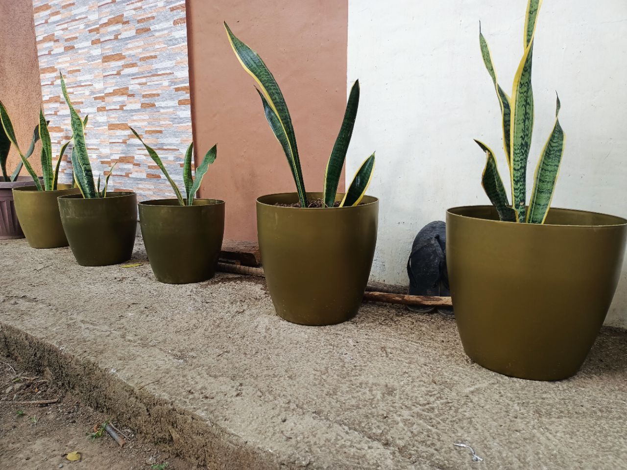 ROUND FLOWER POT WHITE & GOLD COLOR/ CLASSY POT | Shopee Philippines