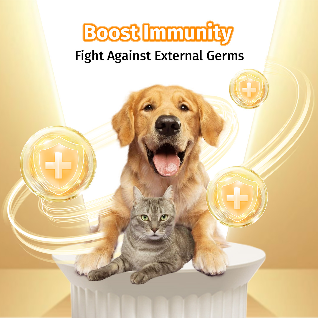 Cassiel Pet Immunol Vitamins Liquid For Antivirus Infection Immune ...