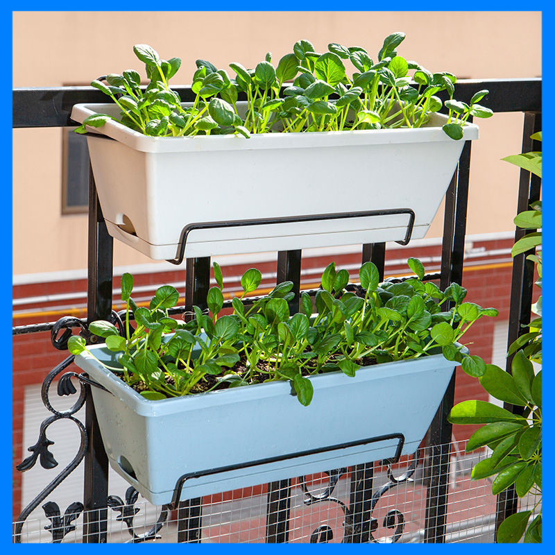 Planting vegetable basin rectangular long flower pot balcony planting ...