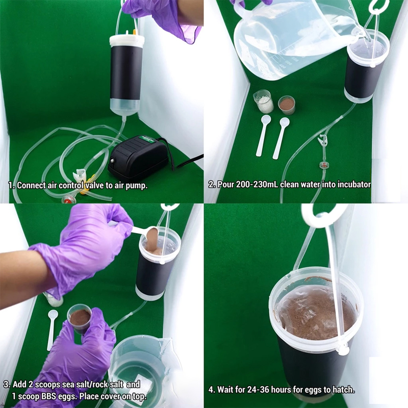 Hatchery tool with pump Baby Brine Shrimp Egg BBS Hatching Incubator ...