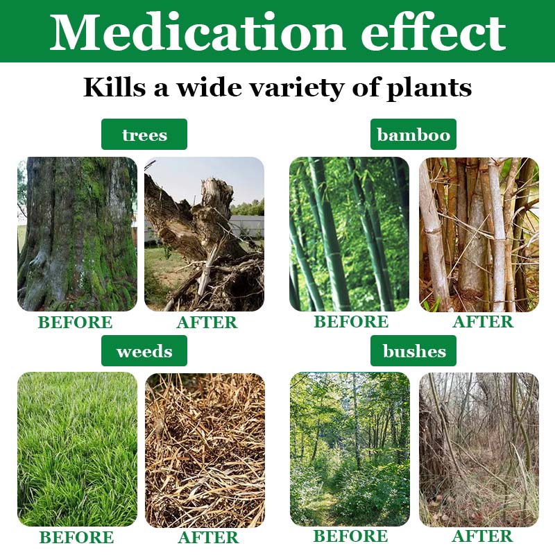 1 second tree root rot Tree killer kill grass herbicide grass killer ...
