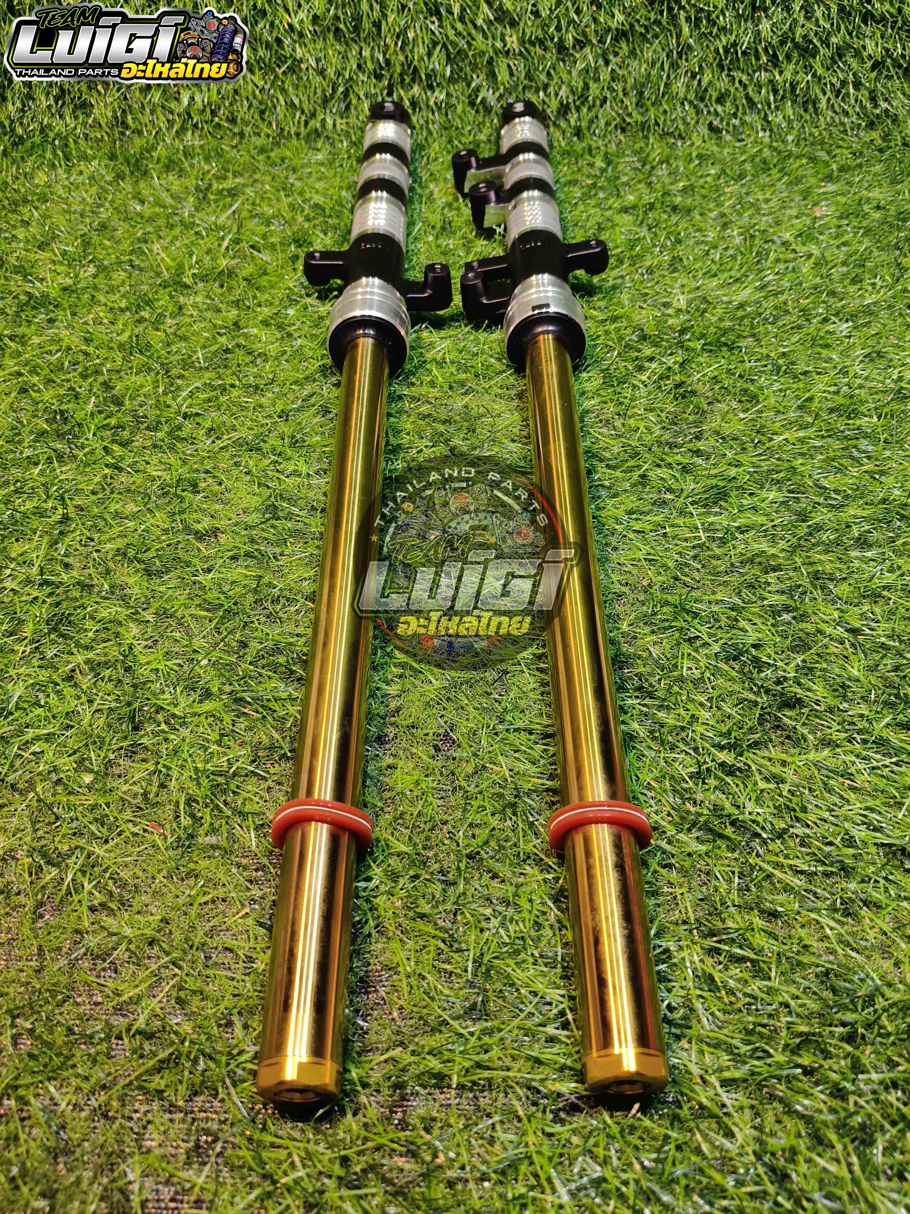 RACE POWER CNC LIGHTEN FRONT SHOCK ASSEMBLY ADJUSTABLE PREMIUM SUZUKI ...