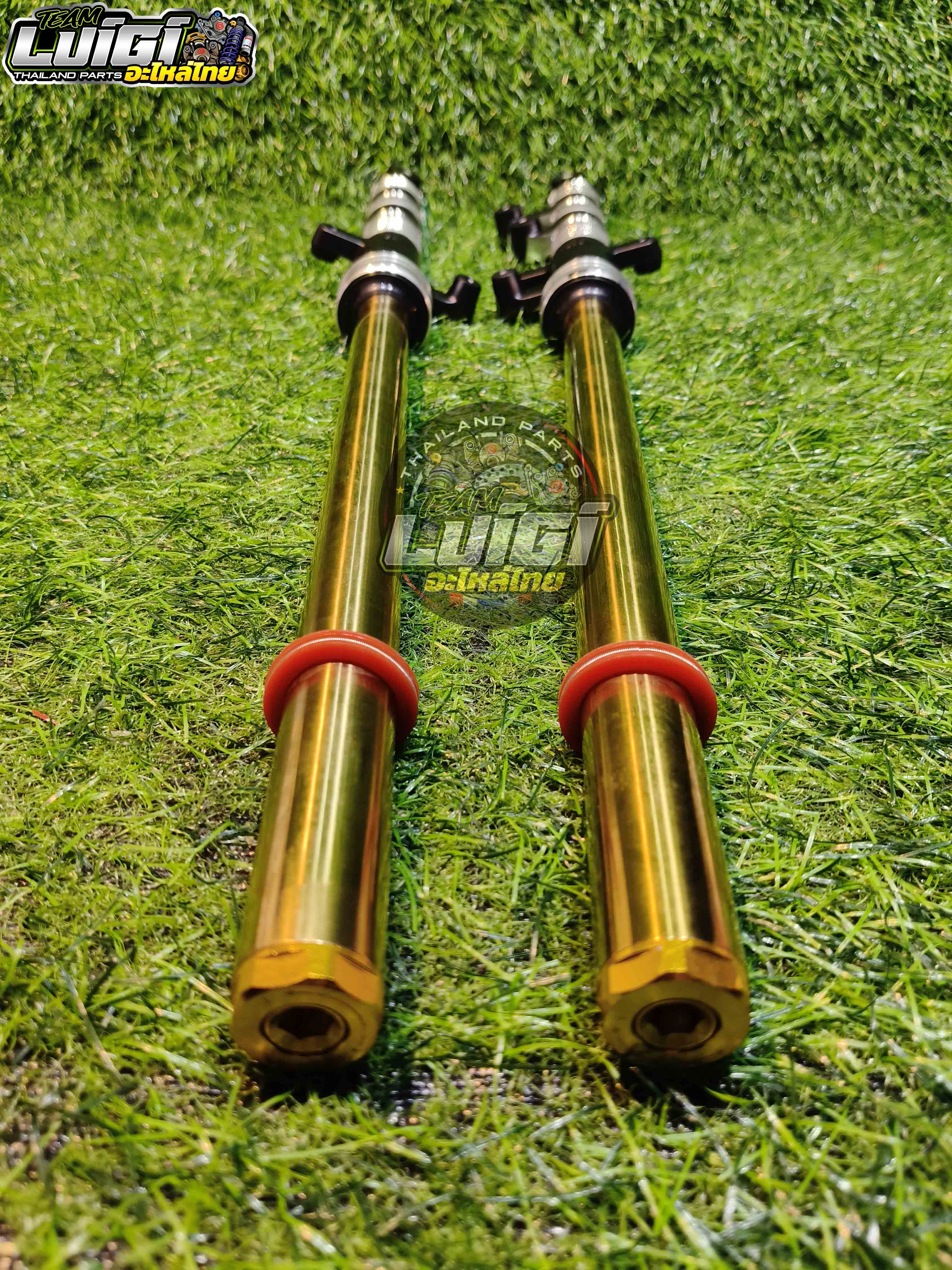 RACE POWER CNC LIGHTEN FRONT SHOCK ASSEMBLY ADJUSTABLE PREMIUM SUZUKI ...