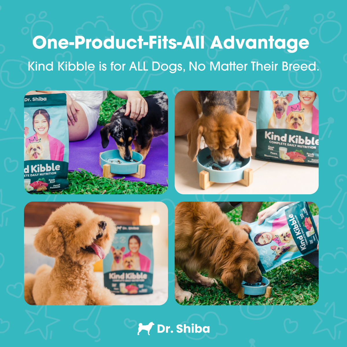 Dr. Shiba's Kind Kibble - High Protein Adult Dog Food- No Salt, Real Beef - Complete Daily ...