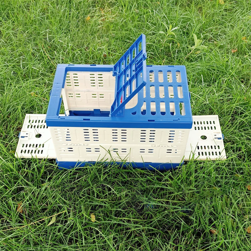 ABS Taiwan Pigeon training box Medium Pigeon Tbox cage Wood Training ...