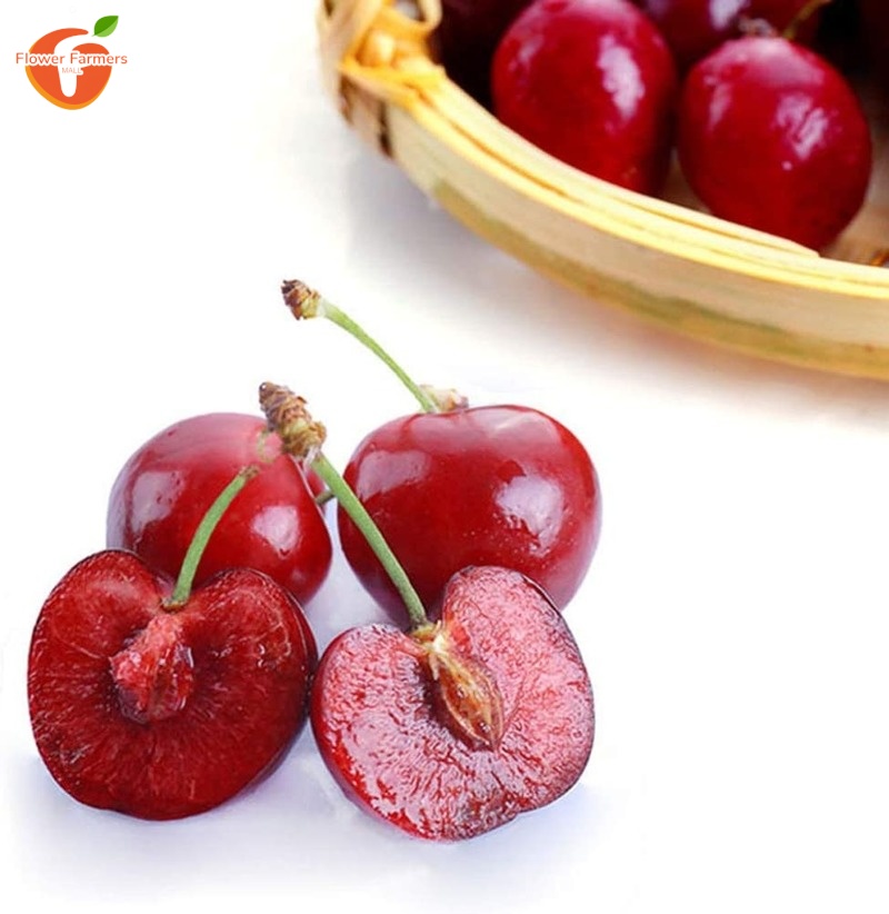 Black Cherry Tree Seeds-20pcs Sweet Cherry Seeds Shrub Prunus Cerasus ...