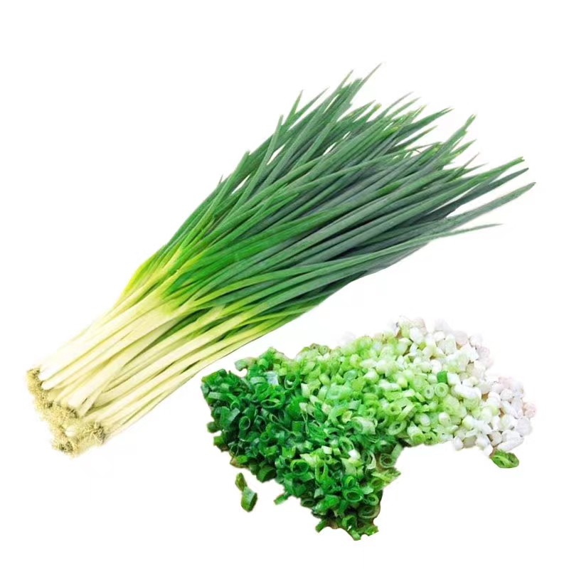 200PCS/BAG Dahon ng Sibuyas Seeds - Fragrant Onion Leaves, Cut-and-Come ...