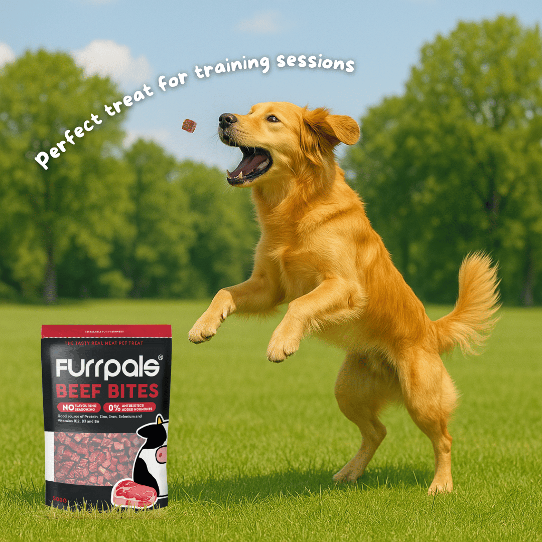 Furrpals Beef Bites Pet Snack Pet Treats Dog Treats Beef Cube Beef ...