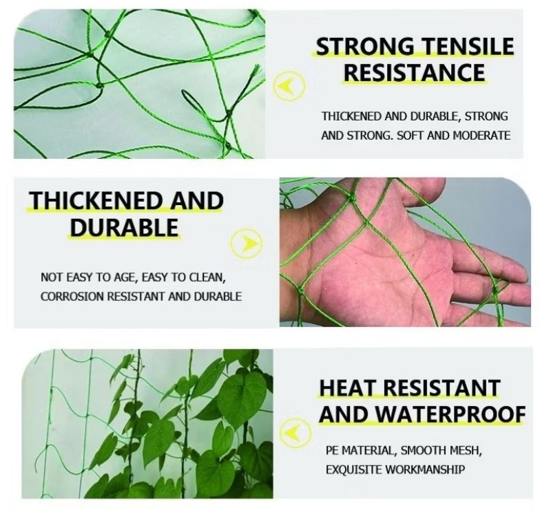 Garden Crawling Net Green Nylon Trellis Netting Support Climbing Vine ...