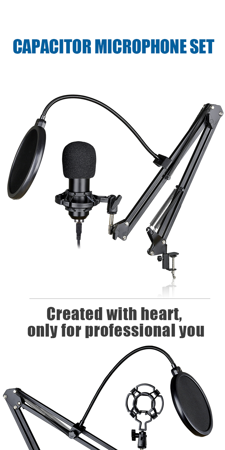 USB-BM-800 Condenser Microphone for PC Recording Vlogging Videoke ...