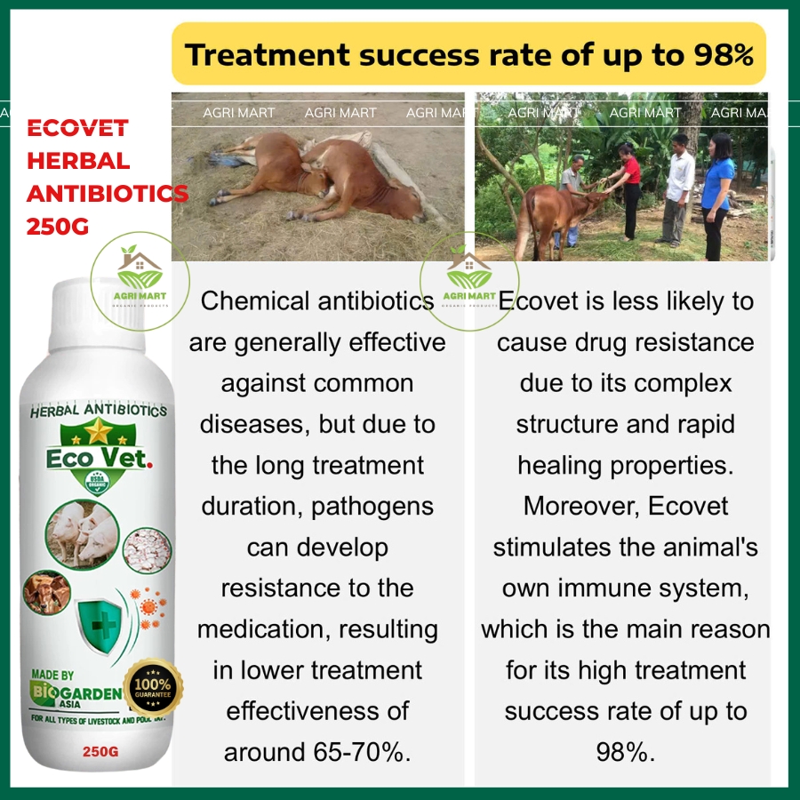 [BEST SELLER] ECOVET 250G - Probiotic Food Supplement Powder, Enhances ...