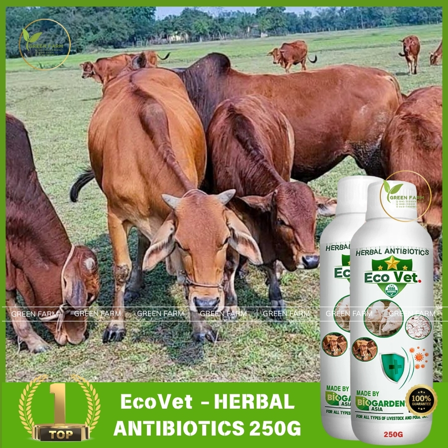 [NEW] ECOVET 250G - Pulbos na Suplemento ng Probiotic, Mahalagang ...