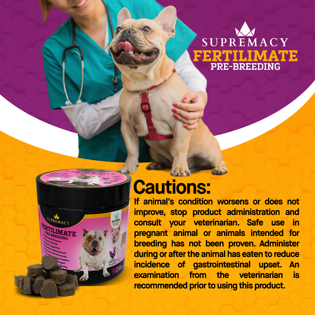 Supremacy Premium Treats & Supplements for Pre-breeding Dam Dogs ...