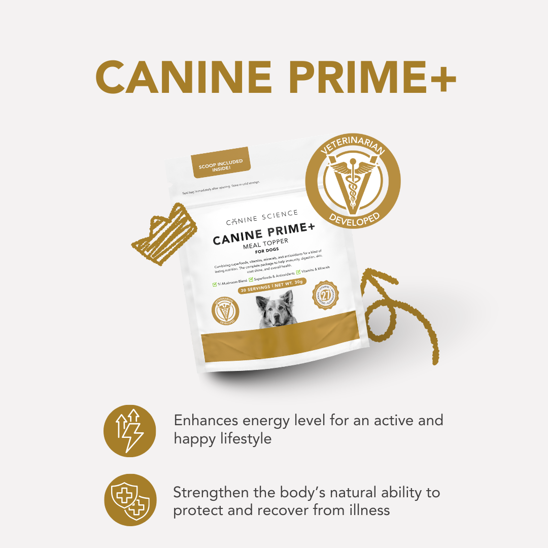 CANINE SCIENCE Canine Prime+ Meal Topper for Dogs (30g per pack ...