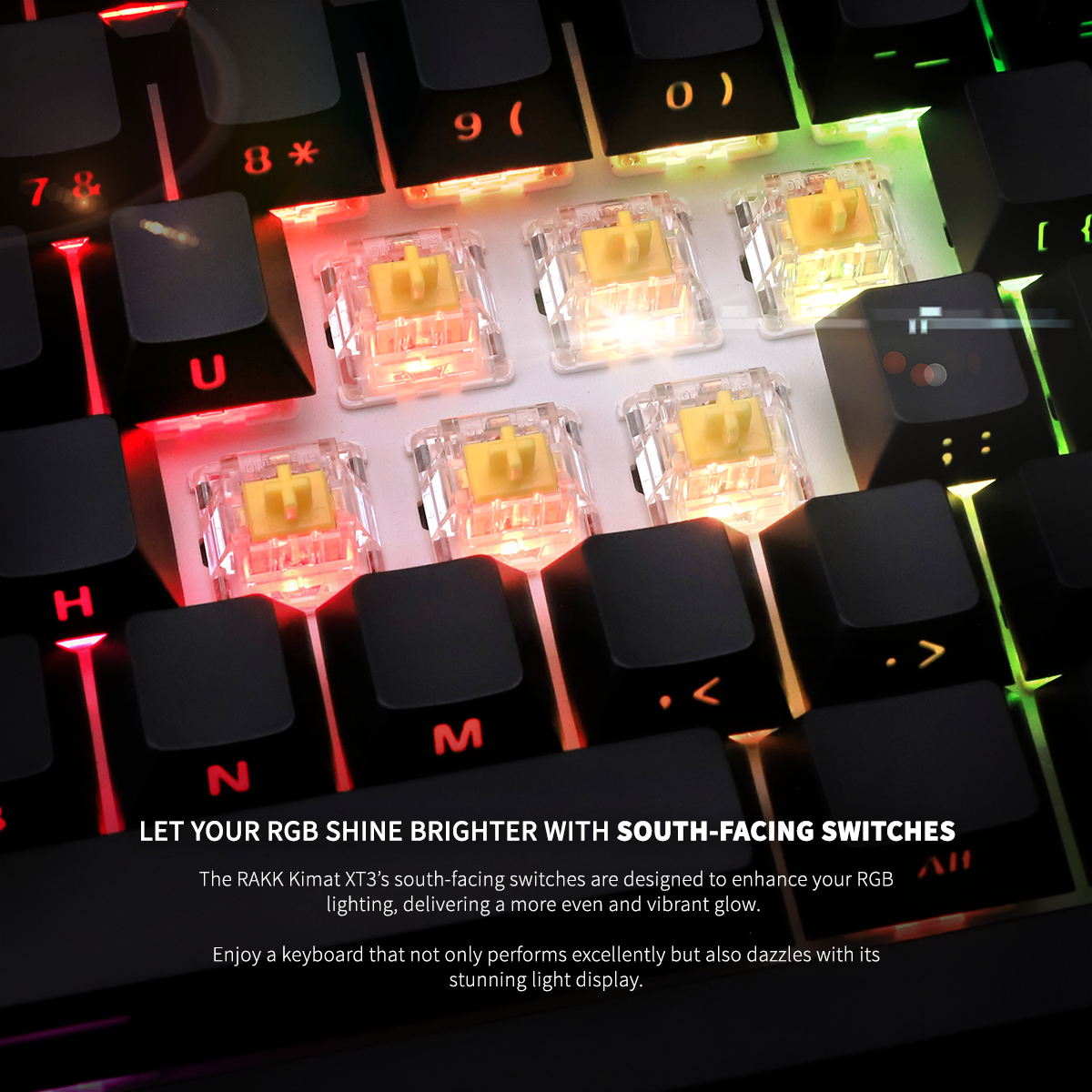 EasyPC | RAKK KIMAT XT3 Huano Yellow Blk Color and Grey Gradiant ...