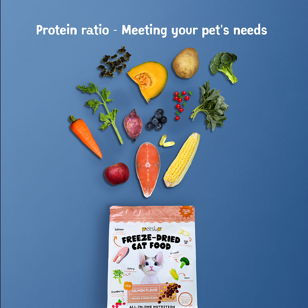 Petsup Freeze Dried Cat Food 50g Salmon Tuna Cat Dry Food Treats for ...