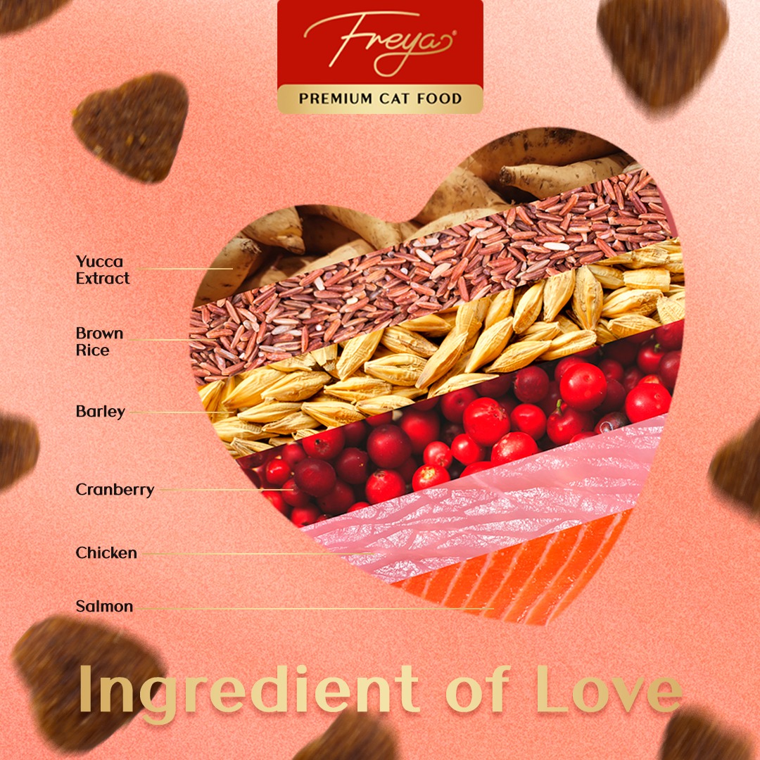 10KG Freya Dry Cat Food for All Stage 10Kg | Shopee Philippines