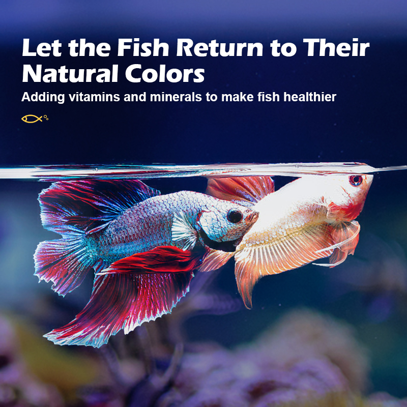DDC Betta Food 25g fish food | Shopee Philippines