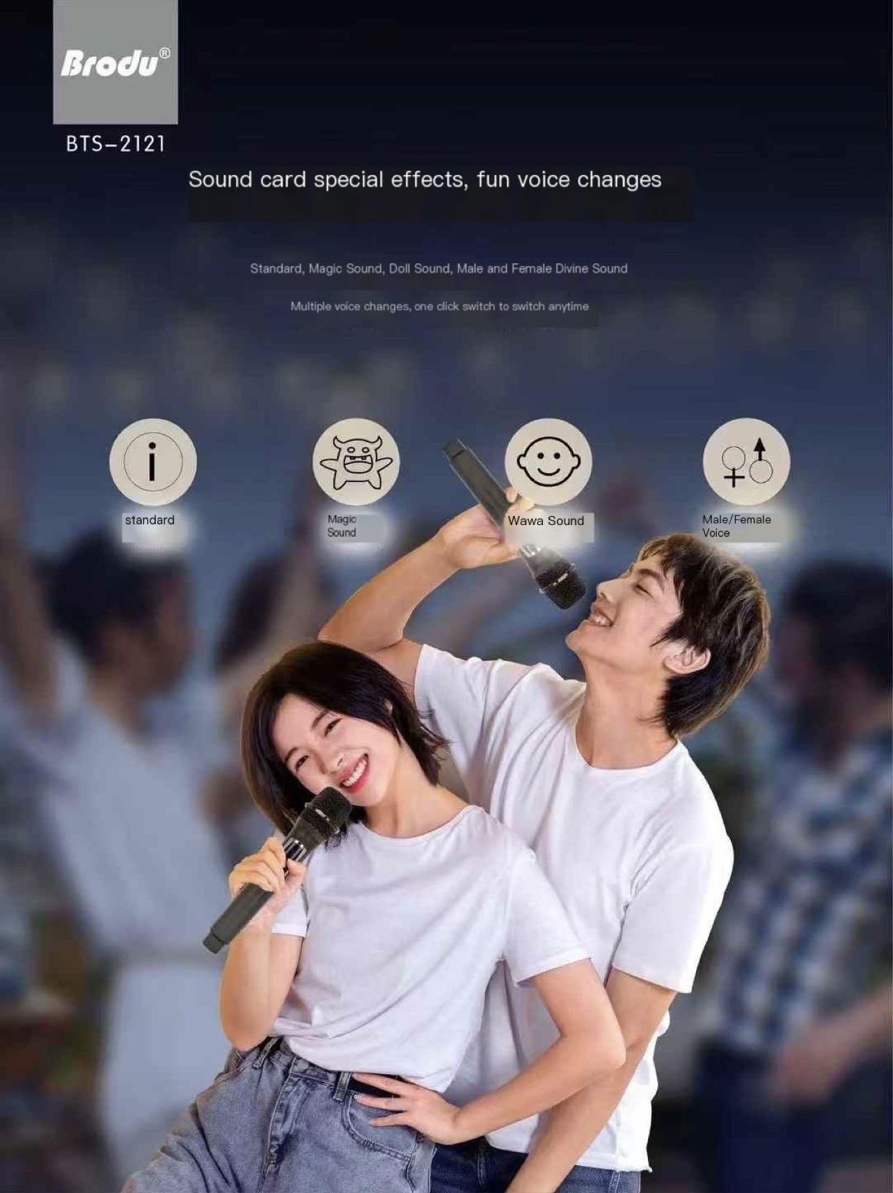 Brodu BTS-2120 Double bass Bluetooth karaoke speaker with Lyrics prompt screen Free 2 Wireless ...