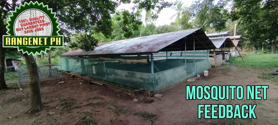 MOSQUITO NET/ FINE NET 5FT X 90 METERS ANTI-ASF LAMOK LANGAW INSECT ...