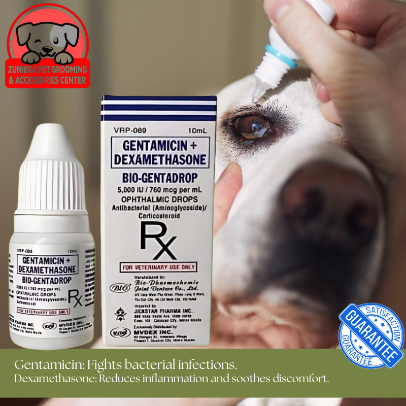 Bio-Genta Eye Drops for Pets 10ml - Gentamicin Eye Drop for Gog ...