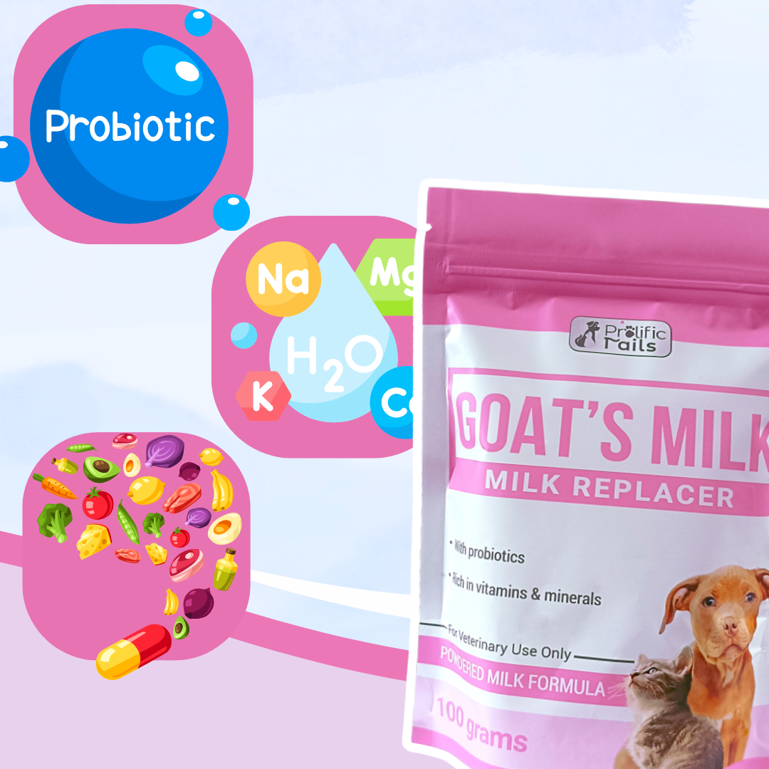 LKJ- Milk Replacer Prolific Tails Goat’s Milk 100g with probiotics ...