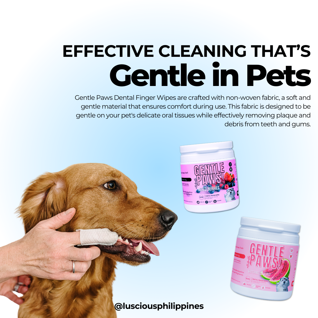 Luscious 50pcs Gentle Paws Pet Dental Wipes Toothbrush and Toothpaste ...