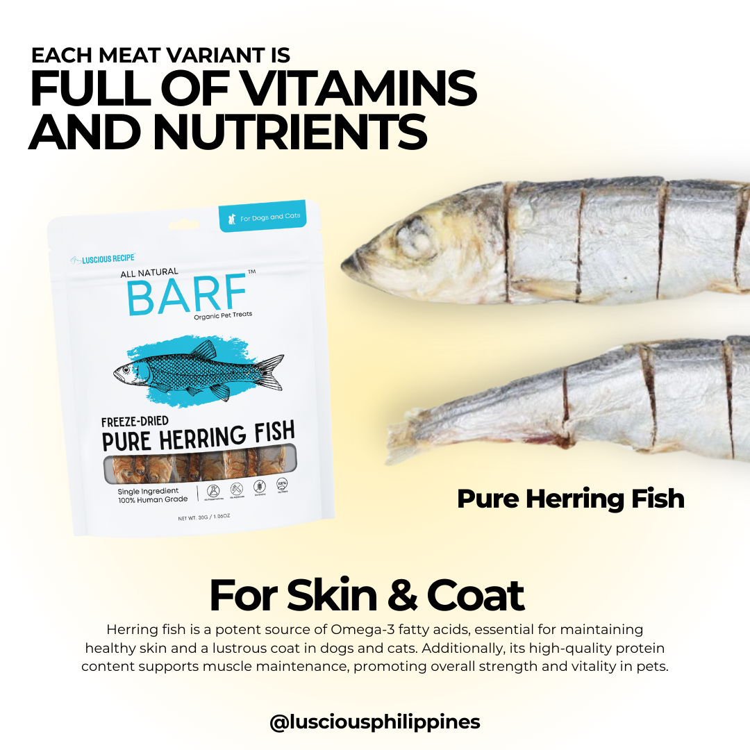 Luscious Salmon Fish All Natural Omega-3 Freeze Dried For Dogs and Cats ...