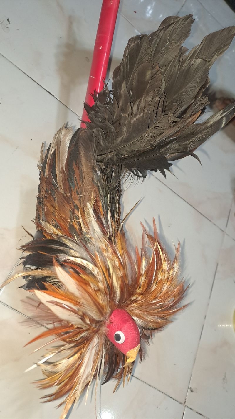Chicken Dummy Training materials for derby preparation for cock ...