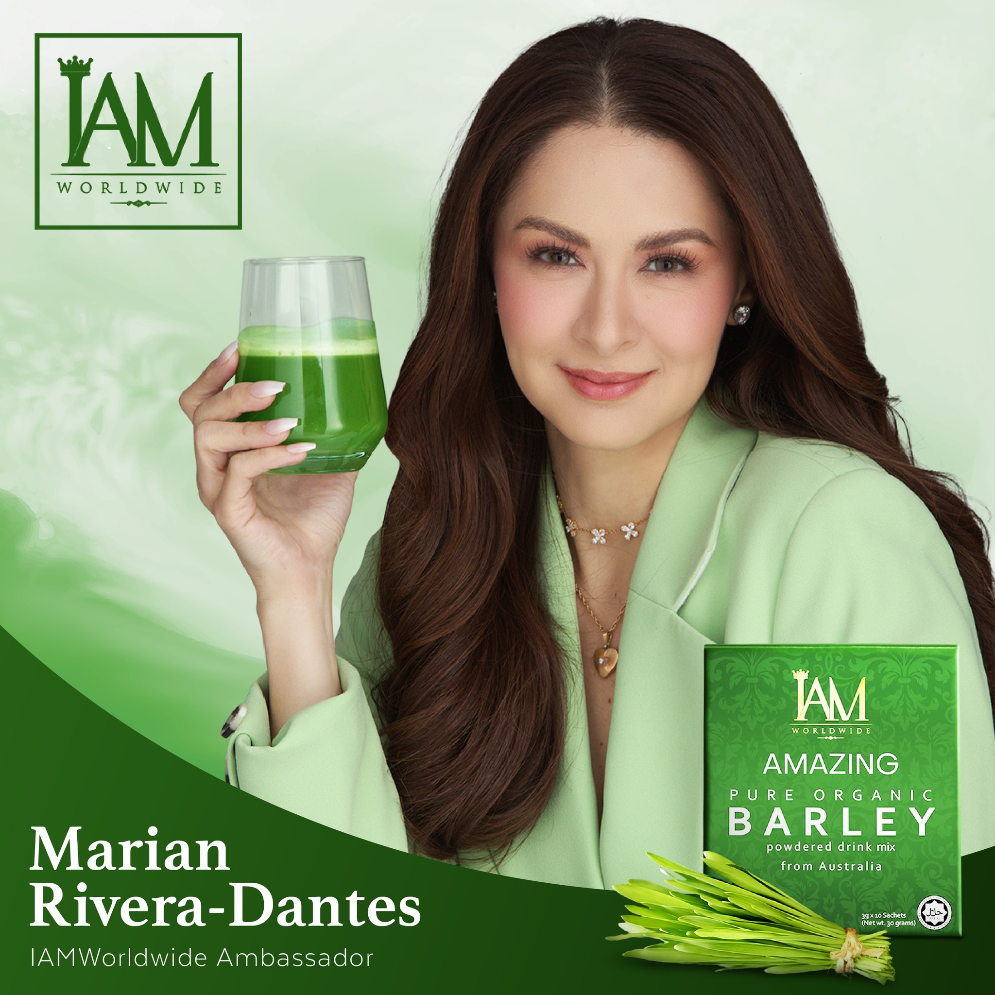 IAM Amazing Barley Grass Powder Pure Organic Barley Powder Drinks ...