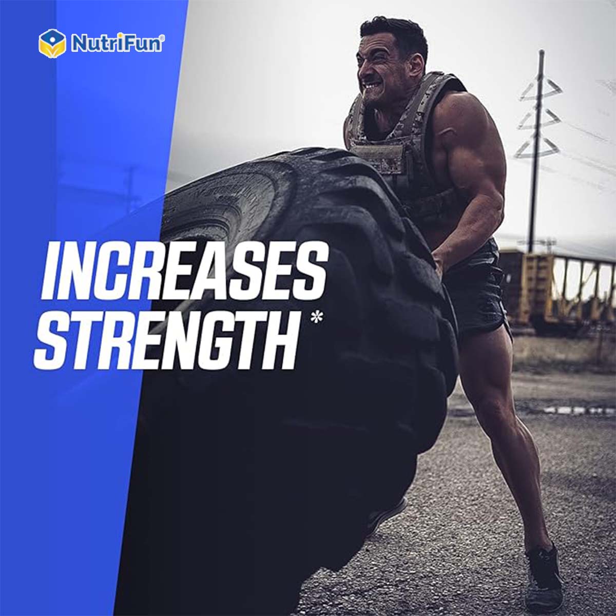 Nutrifun 100% Pure Creatine Monohydrate Powder 300 Grams 60 Servings ...