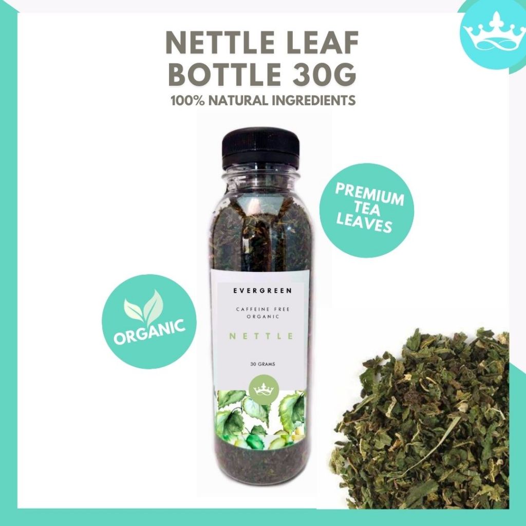 Nettle Leaf Tea USA Organic Alingatong Teas 30g Bottle | 100% Natural ...