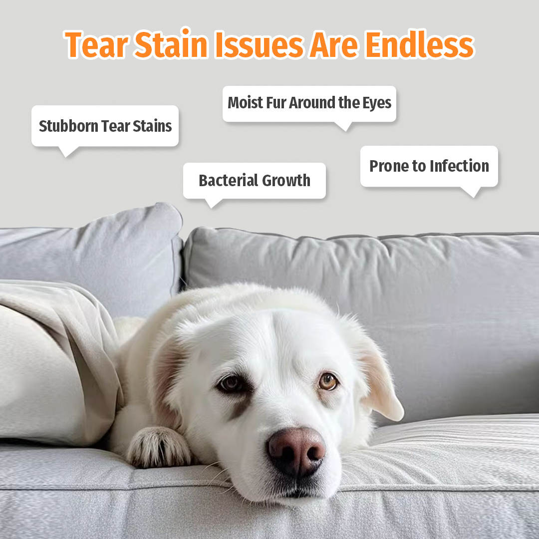 Cassiel Pet Puffed Dog Food Dry Food For Remove Tears Stain Promote ...