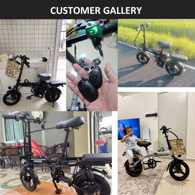 electric bike 48V-12A foldable 14 inch electric scooter,E-ABS double ...