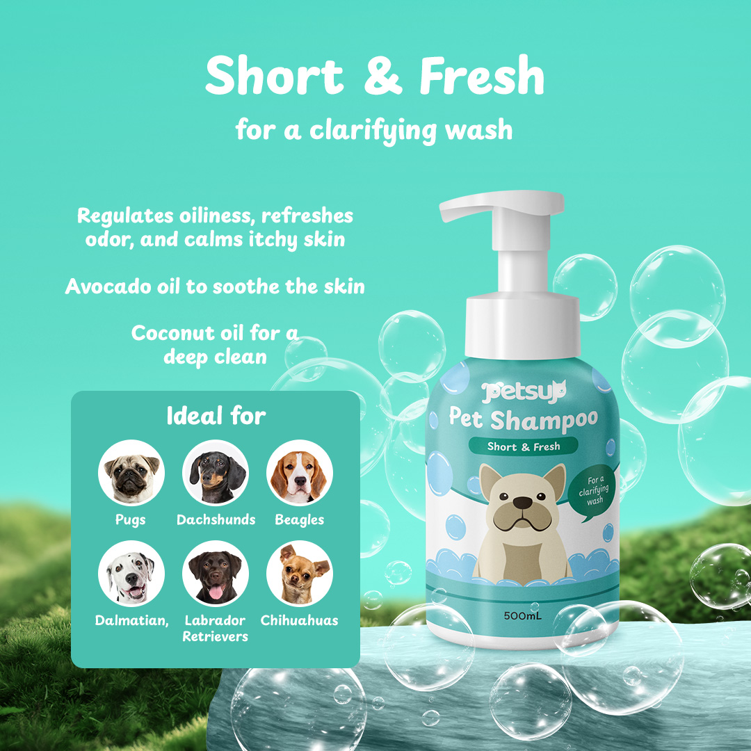 Petsup Pet Shampoo 500ml Anti Tick Flea Long Lasting Odor Control No ...