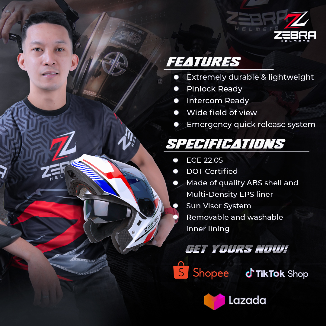 ZEBRA A113 RITZY modular helmet full face motorcycle helmet dual visor ...