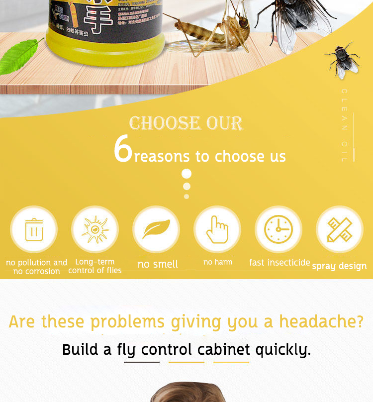 Fly Killer Spray for Indoor Use Non-toxic and Environmentally Friendly ...