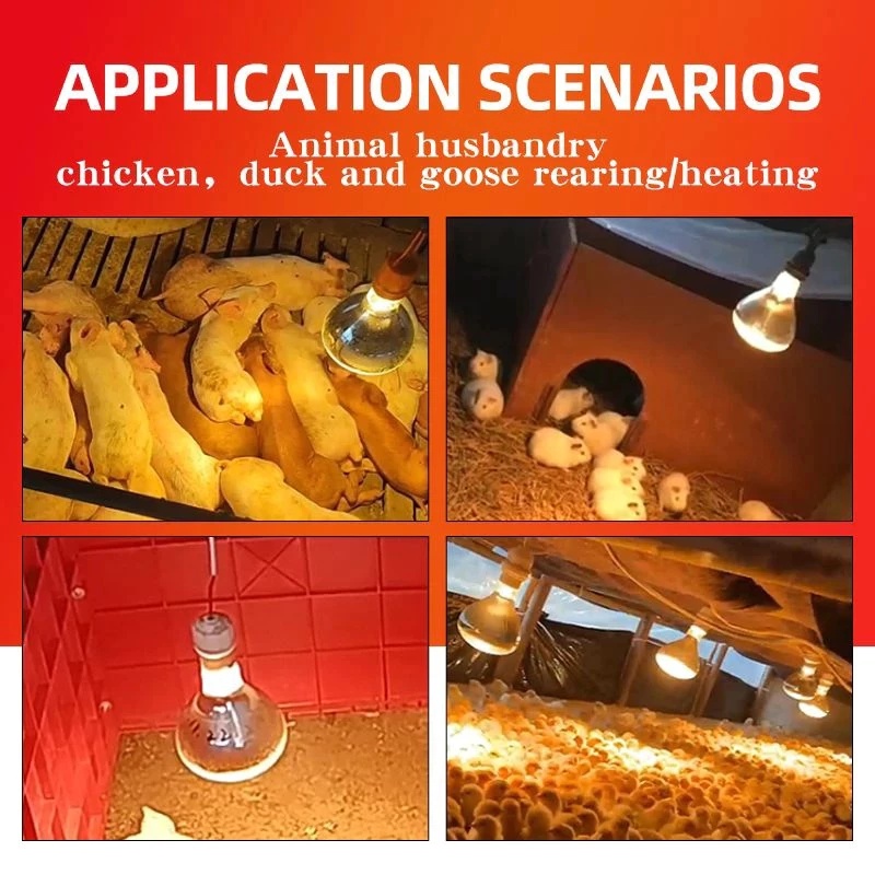 100W/200W Infrared Heat Lamp Pigs Special Thickened Heating Chick ...