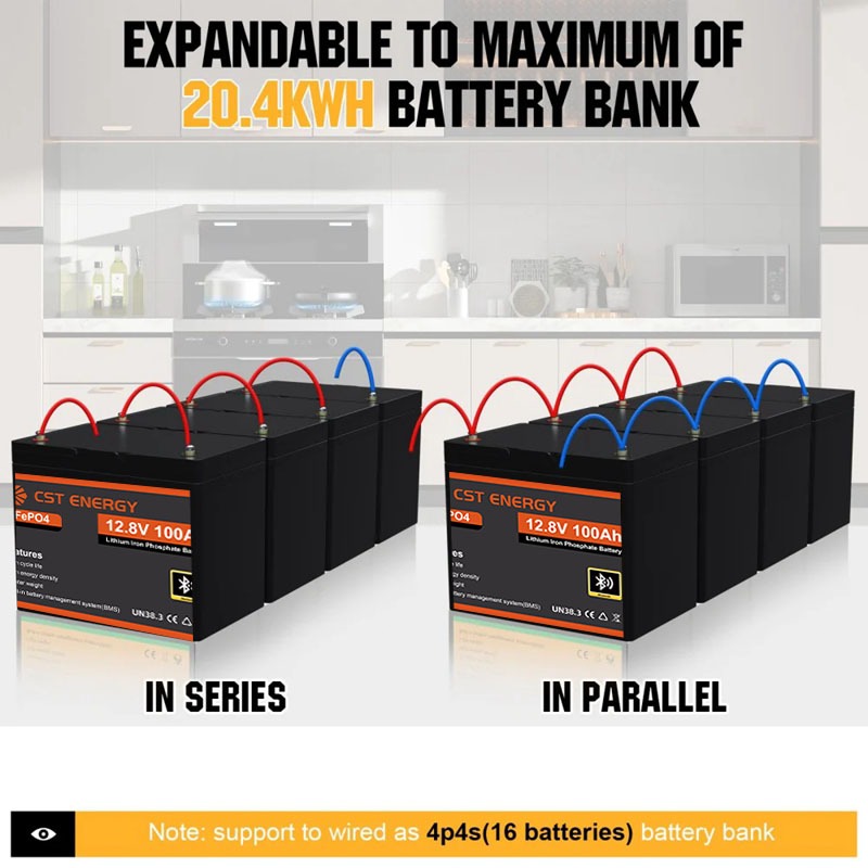 CST ENERGY LiFePo4 Battery 12V 100AH Lithium Battery 12V 50AH Solar ...