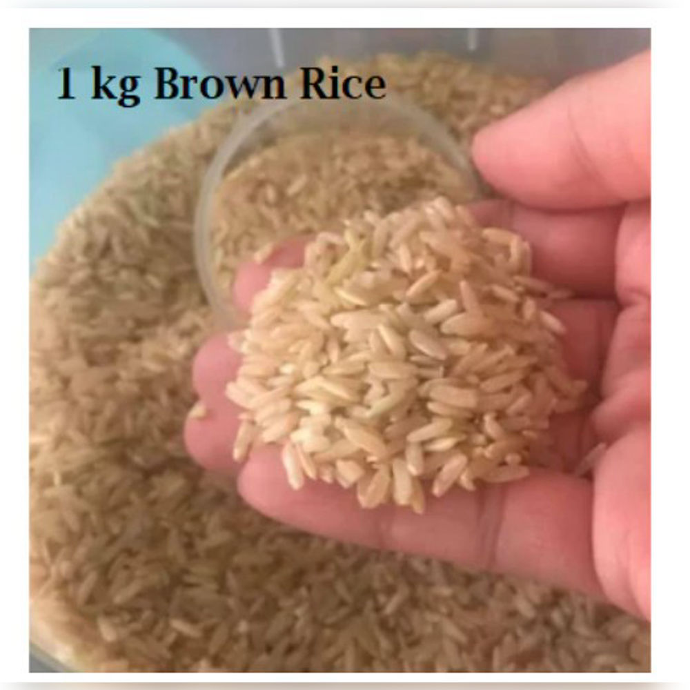 Brown Rice Premium Quality 1 kg | Shopee Philippines