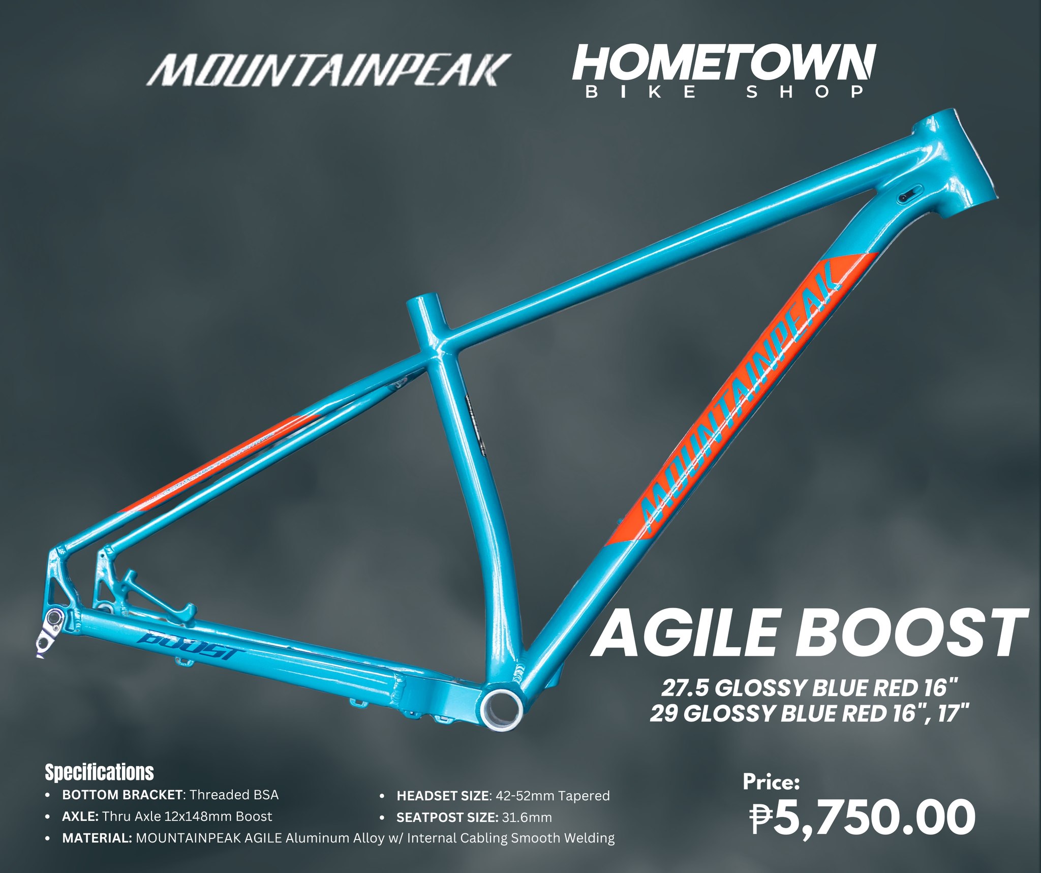 Mountainpeak Agile Boost MTB Frame | Shopee Philippines