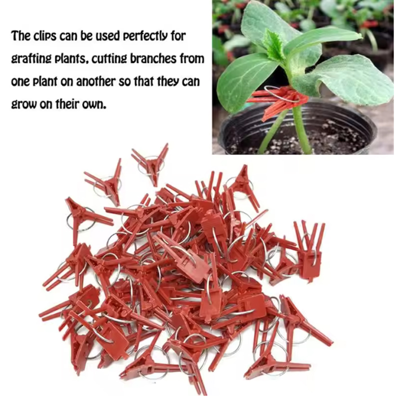100Pcs Resuable Plant Grafted Clips Flat Mouth Grafting Fixed Clips ...