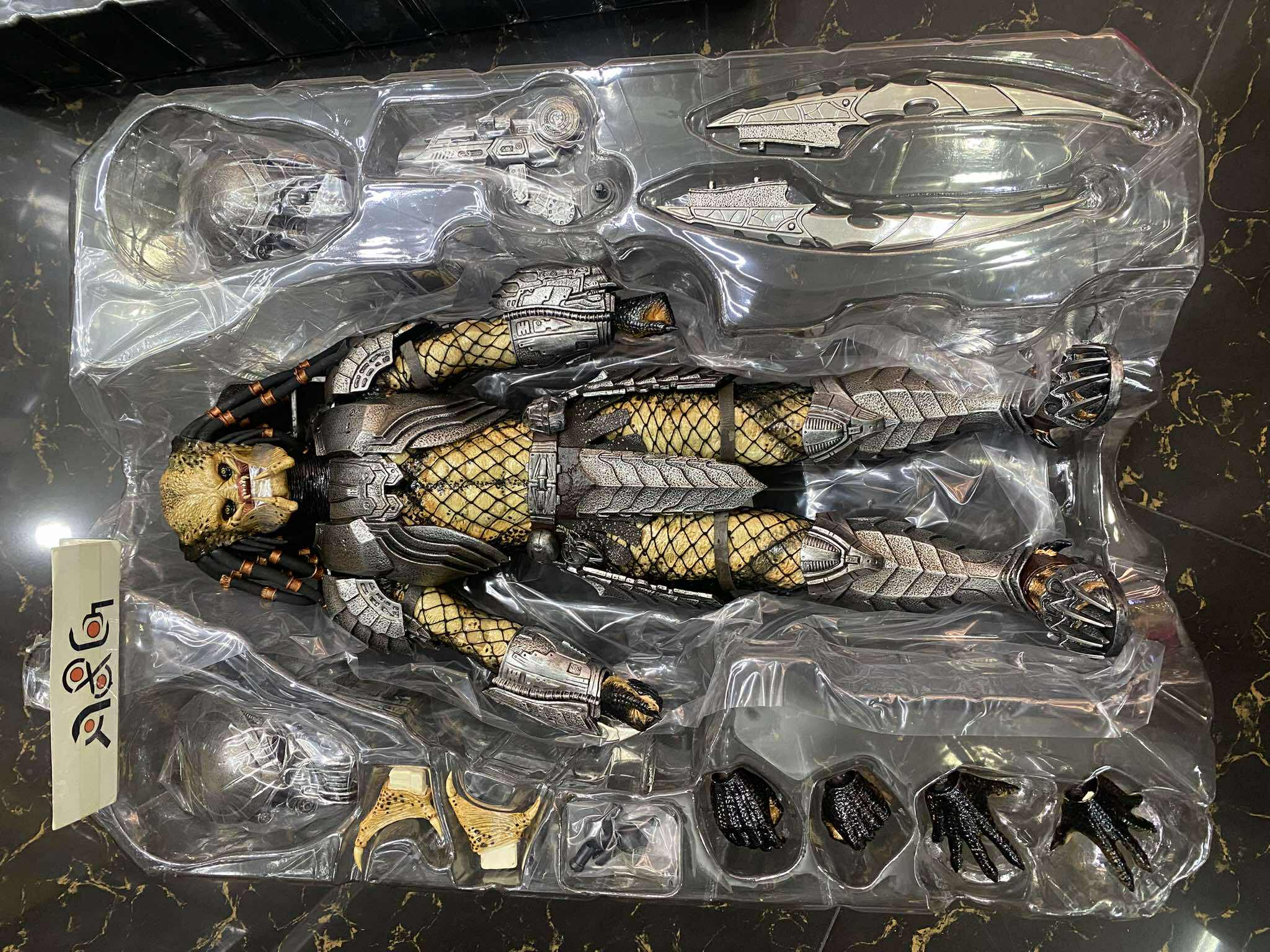 (R&G) Hot Toys Alien Vs Predator Celtic Predator 1/6 Scale Figure ...