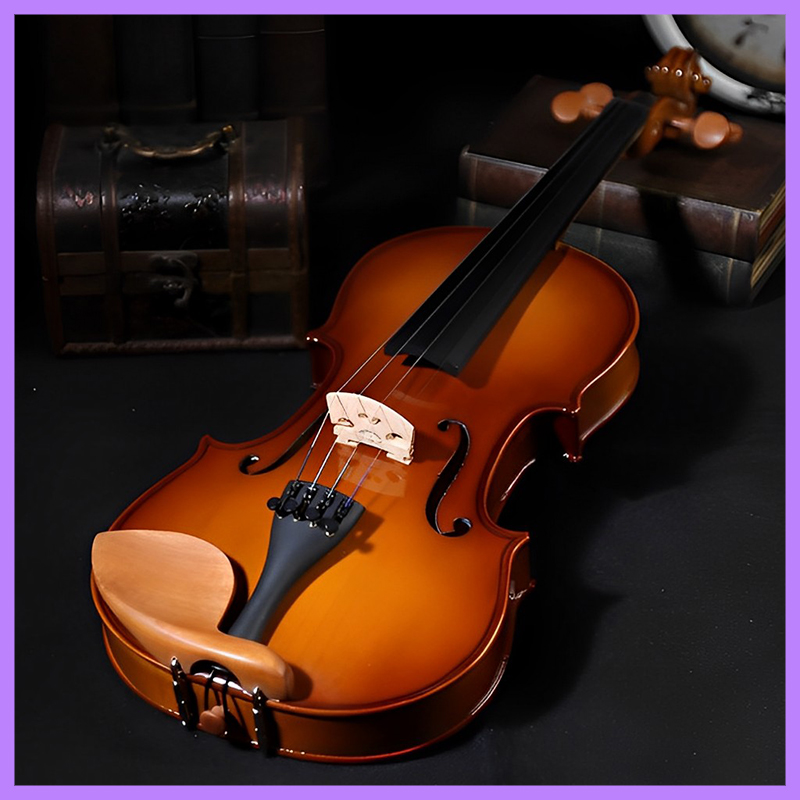 4/4 Full Size Violin Set for Beginners -Adult/Student Starter Kit with ...