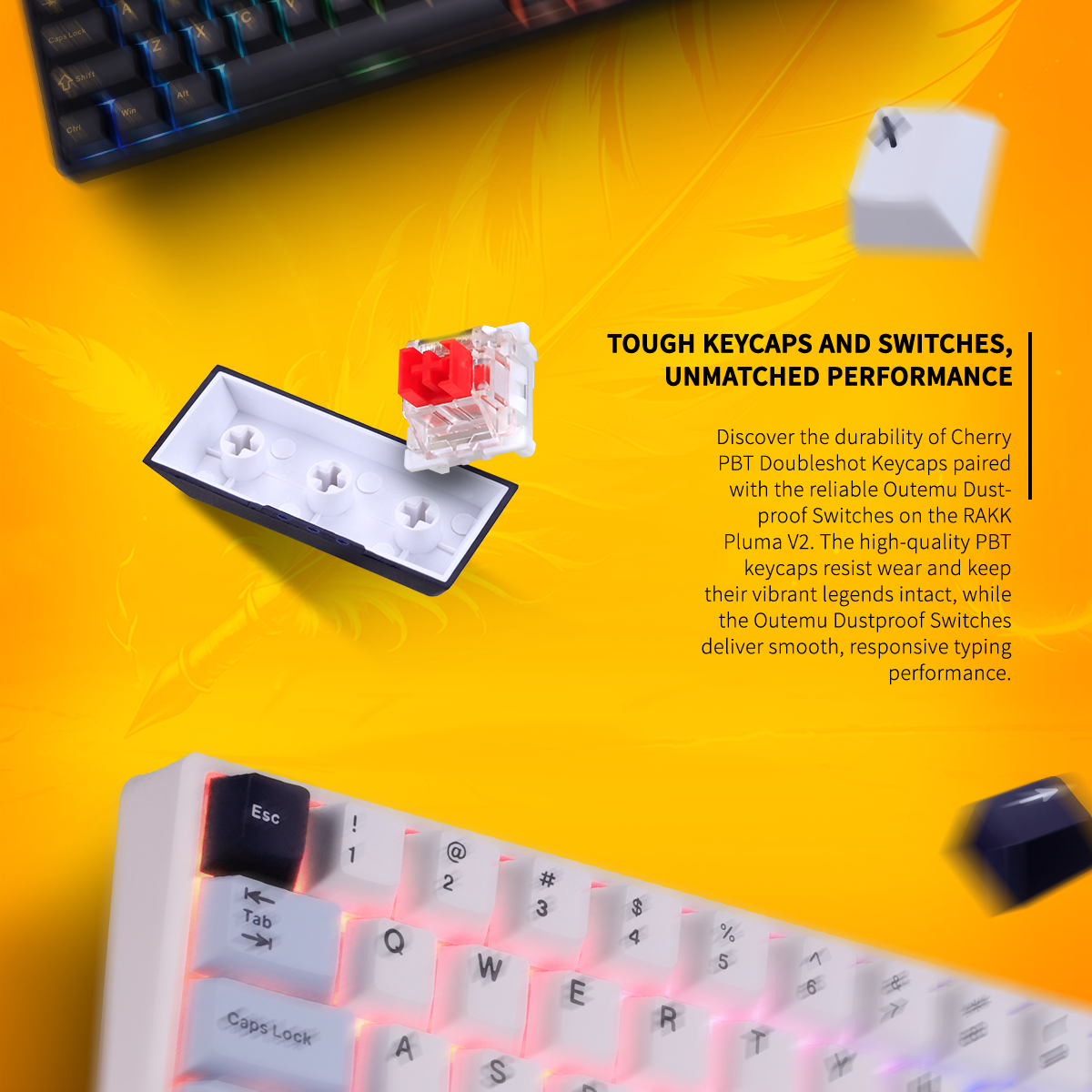 EasyPC | RAKK Pluma 68 and Pluma V2 57 keys Wireless Mechanical ...