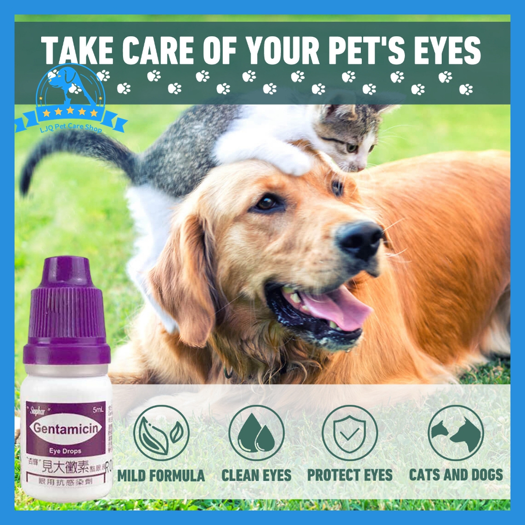 【Buy 1 take 1】Gentamicin Eye Drops for Pet Cat Dogs Eye Infection ...