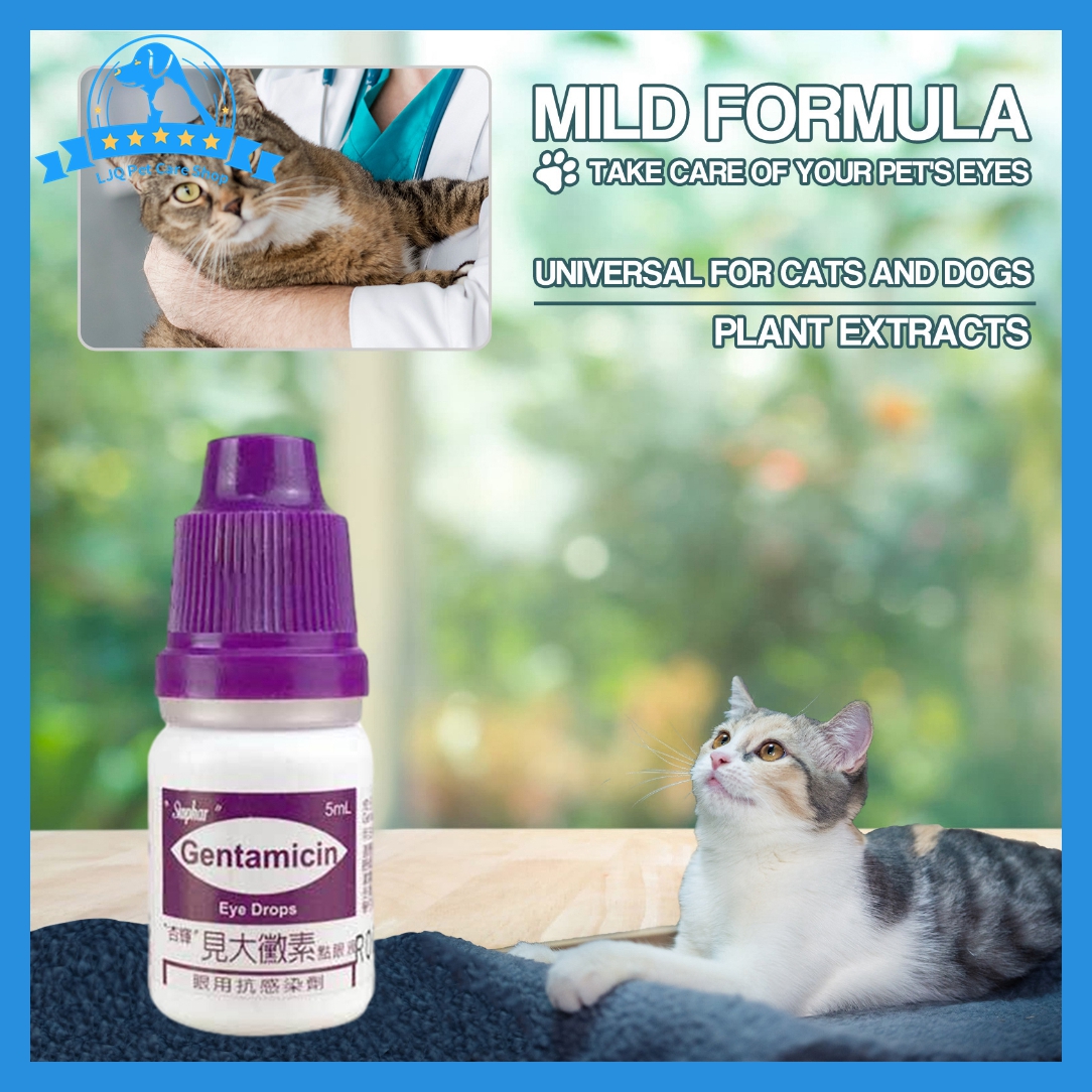 【Buy 1 take 1】Gentamicin Eye Drops for Pet Cat Dogs Eye Infection ...