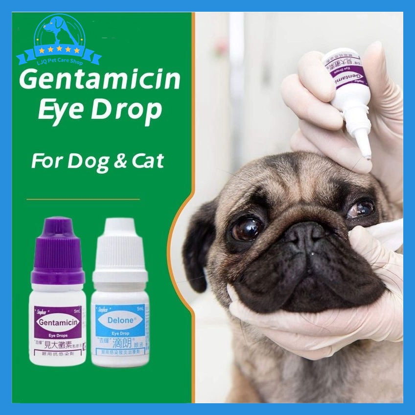 【Buy 1 take 1】Gentamicin Eye Drops for Pet Cat Dogs Eye Infection ...