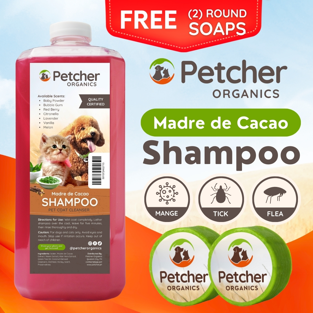 Petcher Madre De Cacao Pet Shampoo 1 Liter Red Berry Scent with Free ...